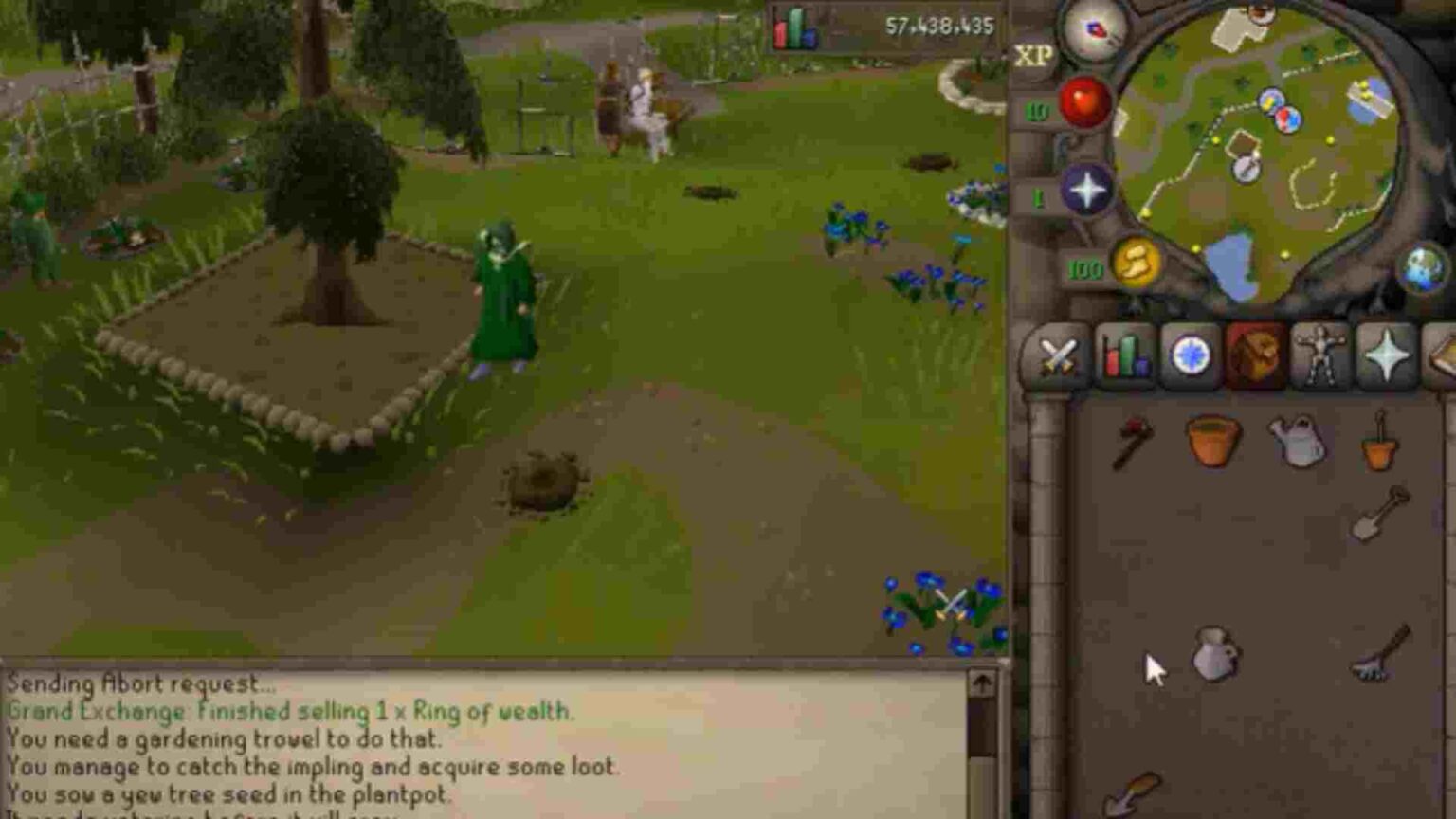 Maple Seed OSRS: Everything You Need to Know for Farming Success ...