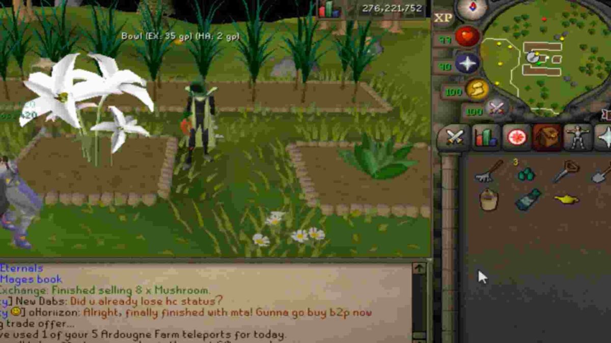 OSRS Snape Grass Seed: Your Guide to Farming Success! - Future Mag